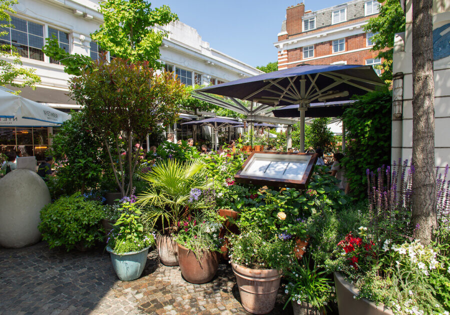 Bluebird Chelsea - The Collection Events - London Venues