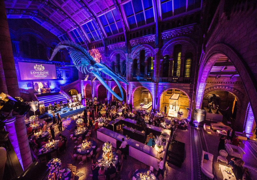 Natural History Museum - The Collection Events